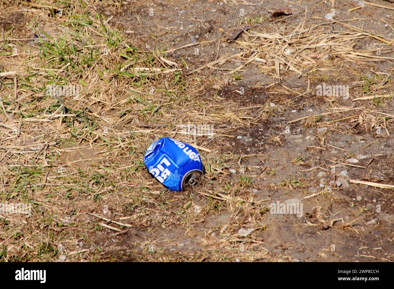 Litter in the grass along a roadside Stock Photo - Alamy