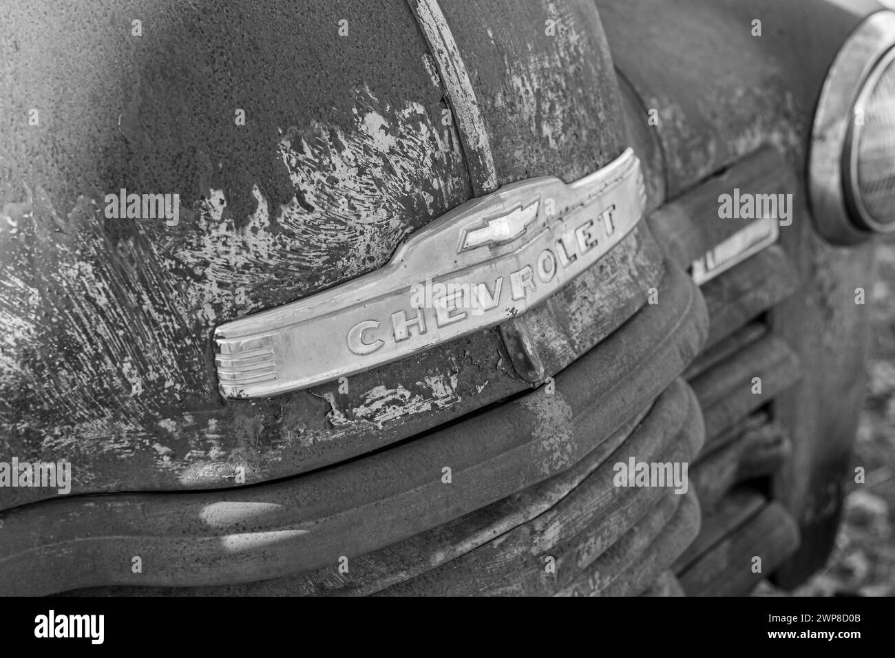 Edna Logo Name Logo Generator Candy Pastel Lager Fin Logo | Name Logo ...