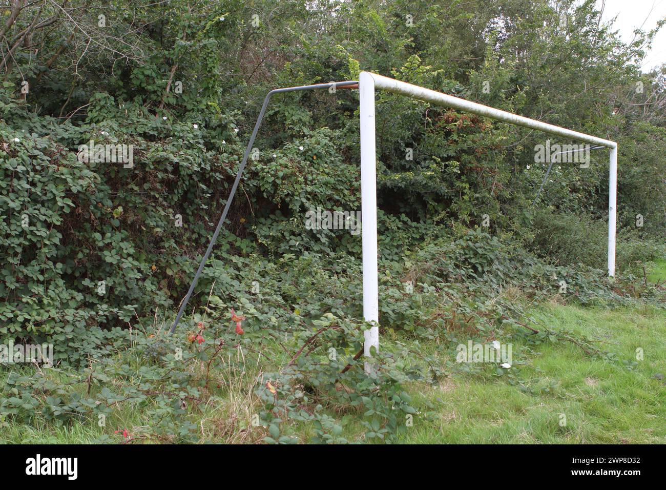 Overgrown football goal posts with brambles and long grass - grassroots ...