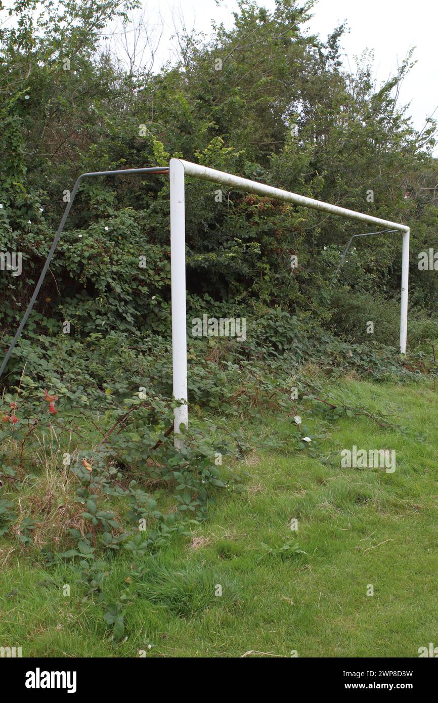 Overgrown football goal posts with brambles and long grass - grassroots ...