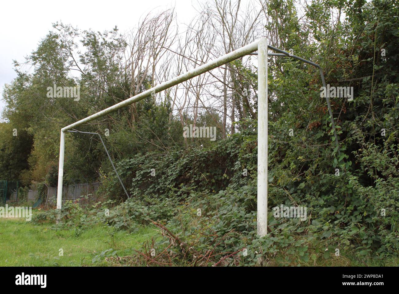 Overgrown football goal posts with brambles and long grass - grassroots ...