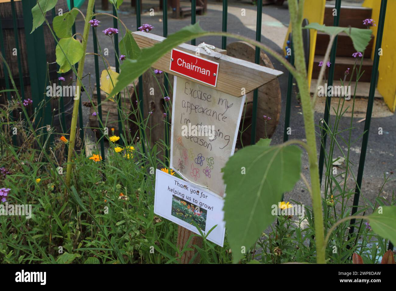 Chairman's parking space in car park with wildflowers Stock Photo - Alamy