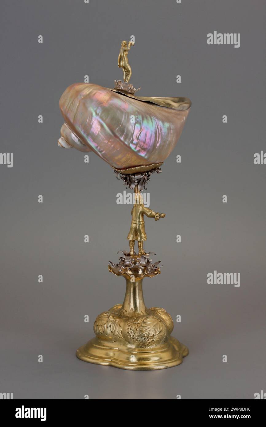 Nautilus shell cup hi-res stock photography and images - Alamy