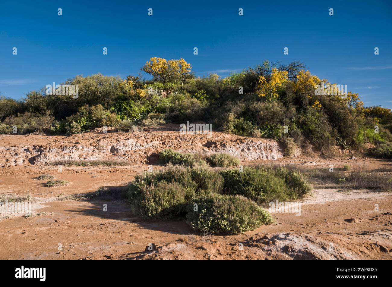 Chanares hi-res stock photography and images - Alamy
