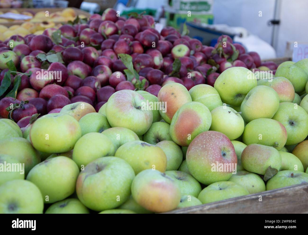 Showcased in vibrant color hi-res stock photography and images - Alamy