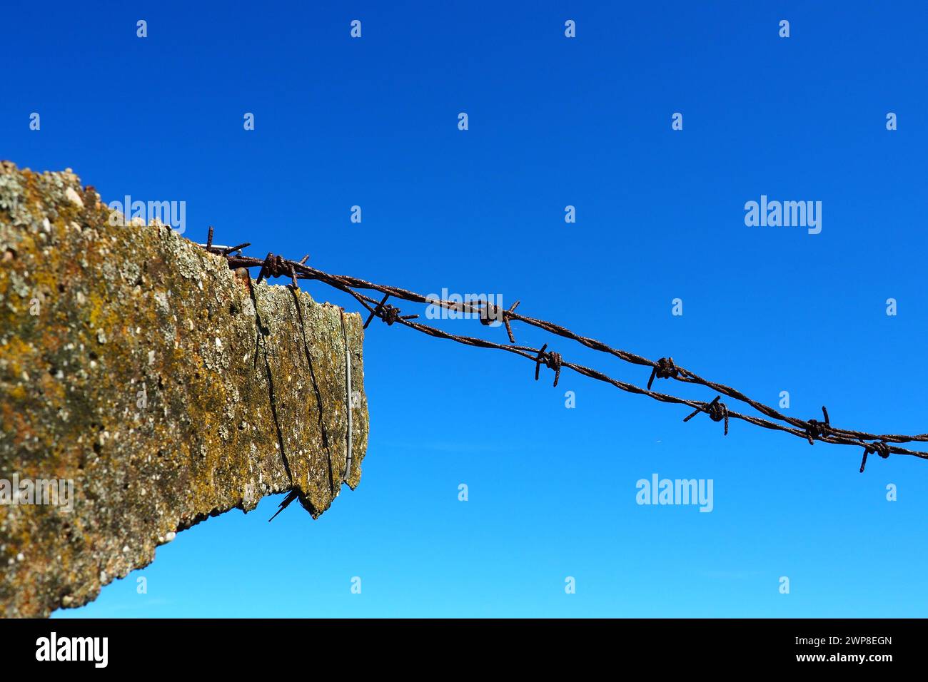 Barbed wire, double wire, metal tape with sharp spikes for barriers ...