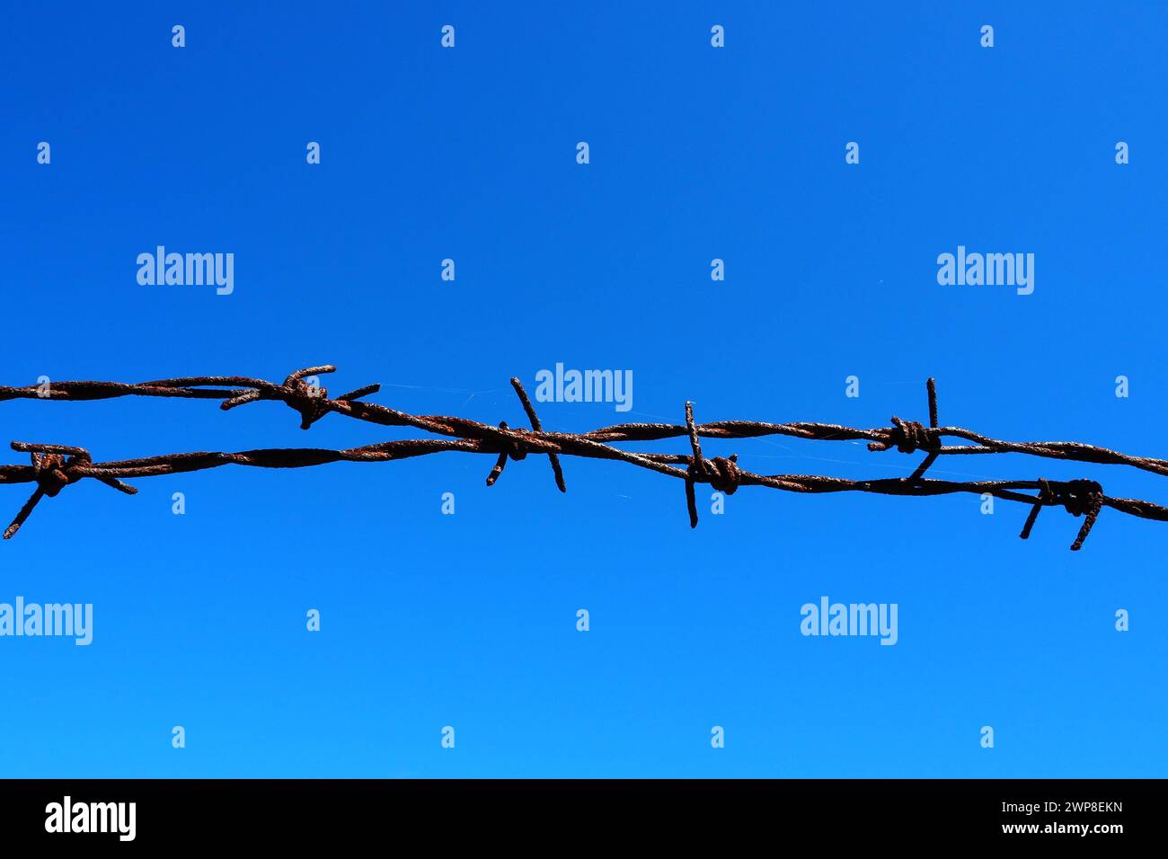 Barbed wire, wire, narrow strip of metal tape, with sharp spikes ...