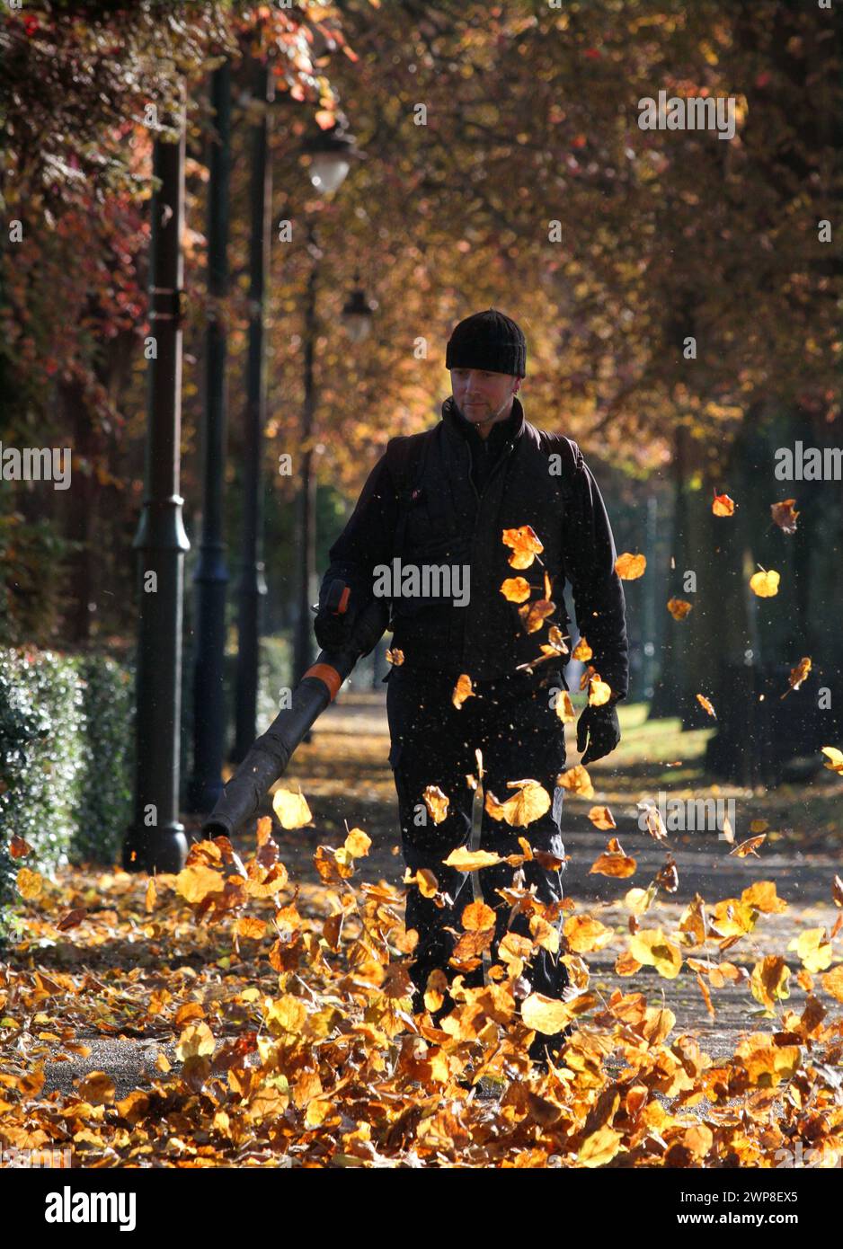 05/11/12 As the fall in temperatures encourages more leaves to fall ...