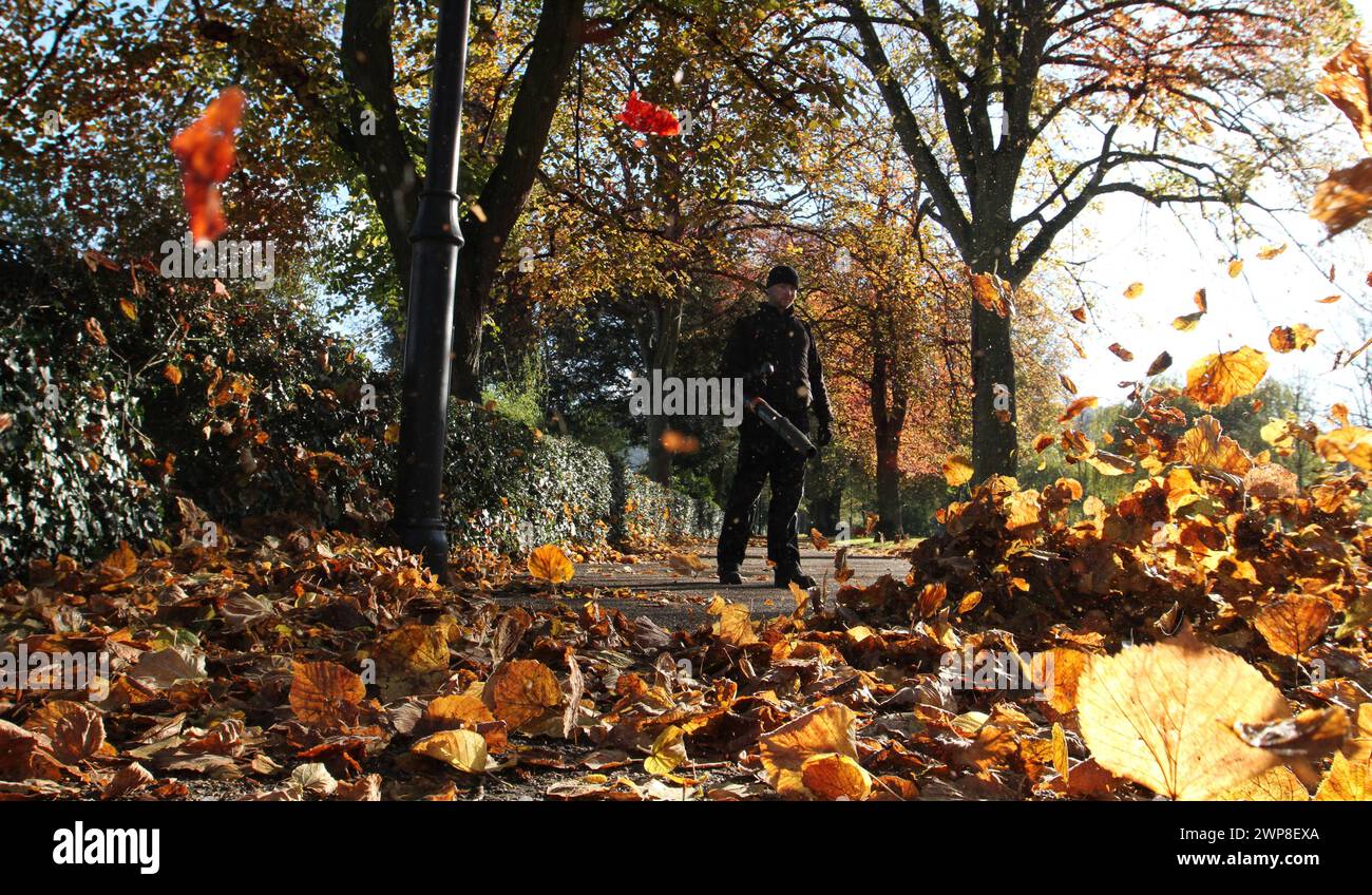 05/11/12 As the fall in temperatures encourages more leaves to fall ...