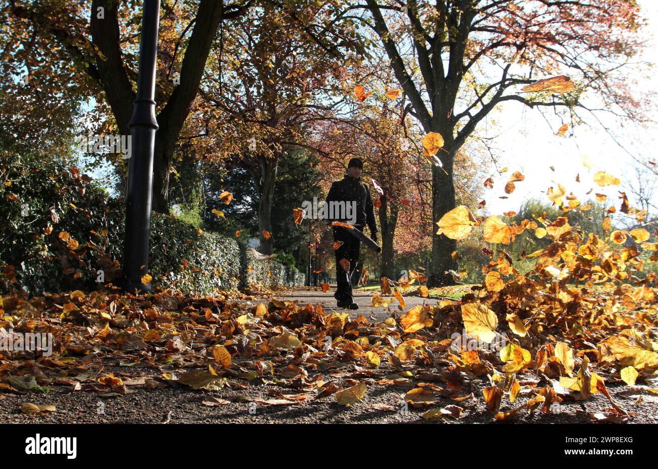 05/11/12 As the fall in temperatures encourages more leaves to fall ...