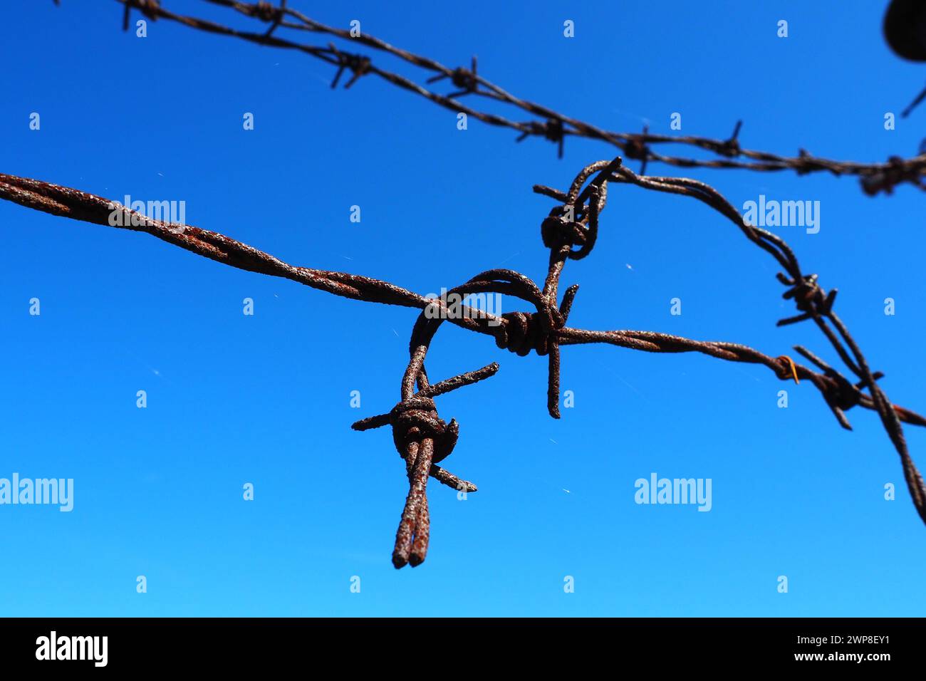 Barbed wire, wire, narrow strip of metal tape, with sharp spikes ...