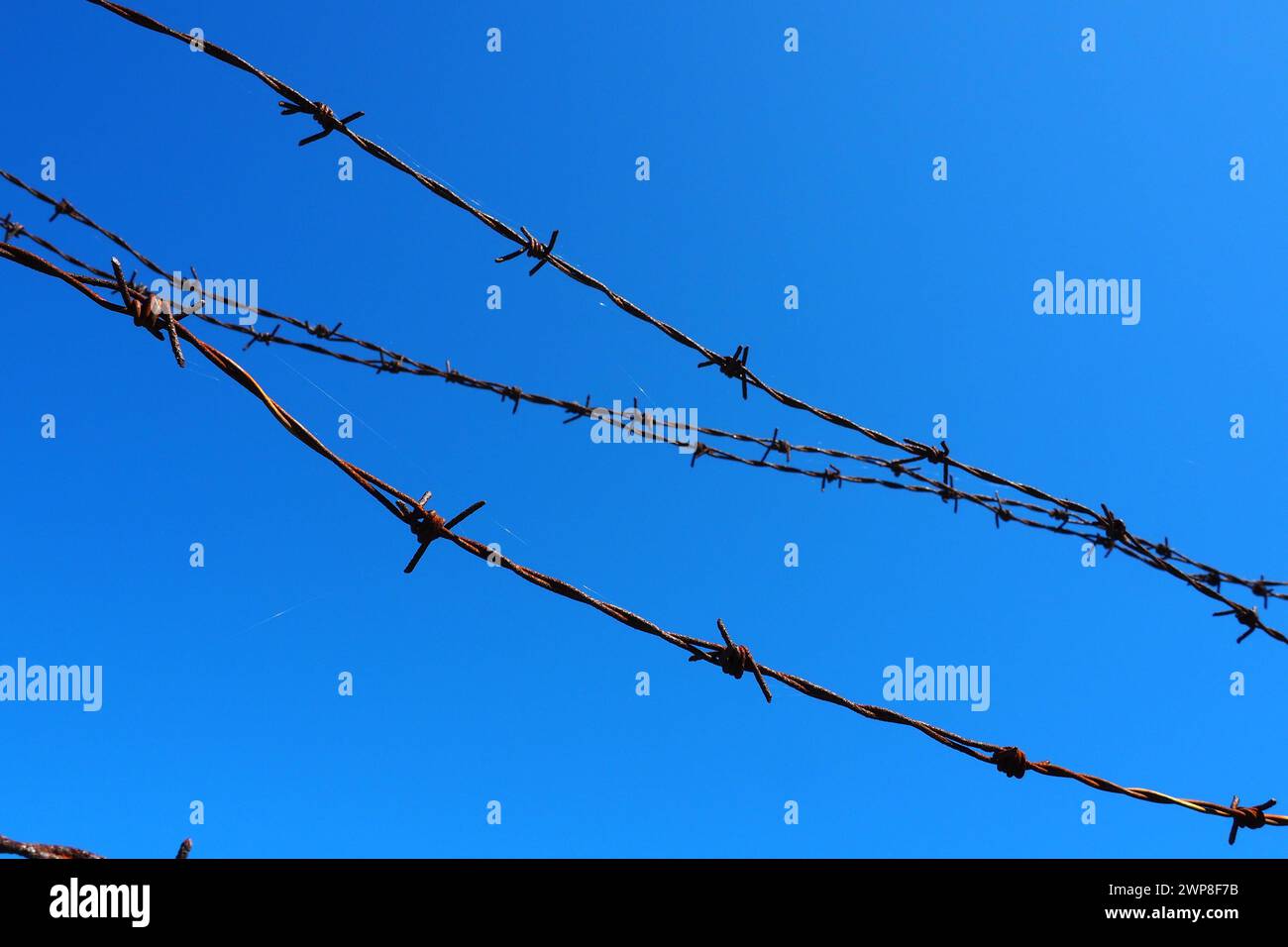 Barbed wire, wire, narrow strip of metal tape, with sharp spikes ...