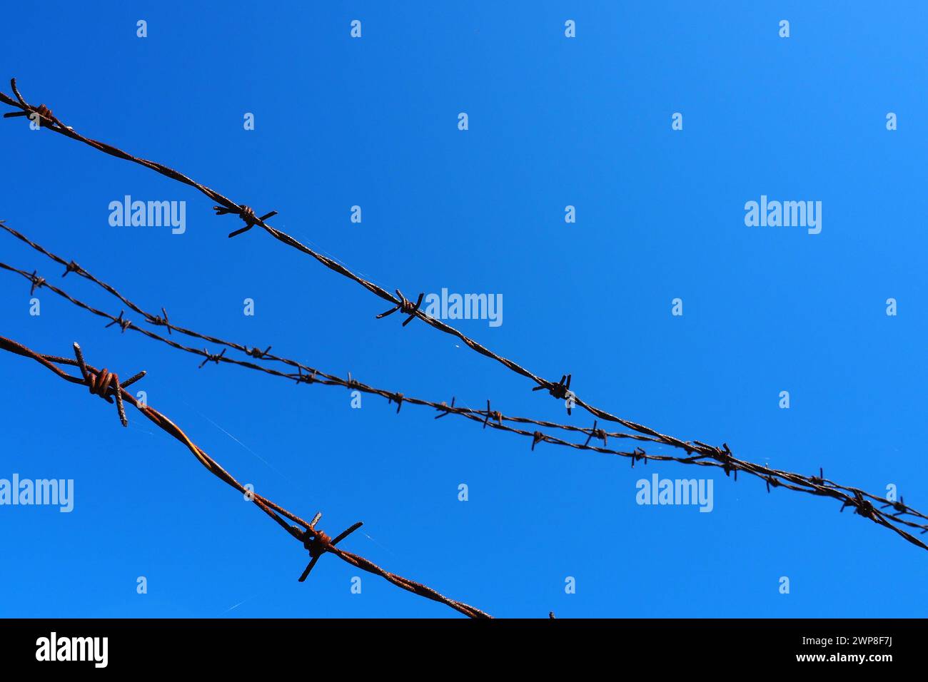 Barbed wire, wire, narrow strip of metal tape, with sharp spikes ...