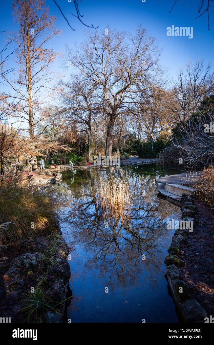 Tranquil pond surrounded trees greenery hi-res stock photography and ...