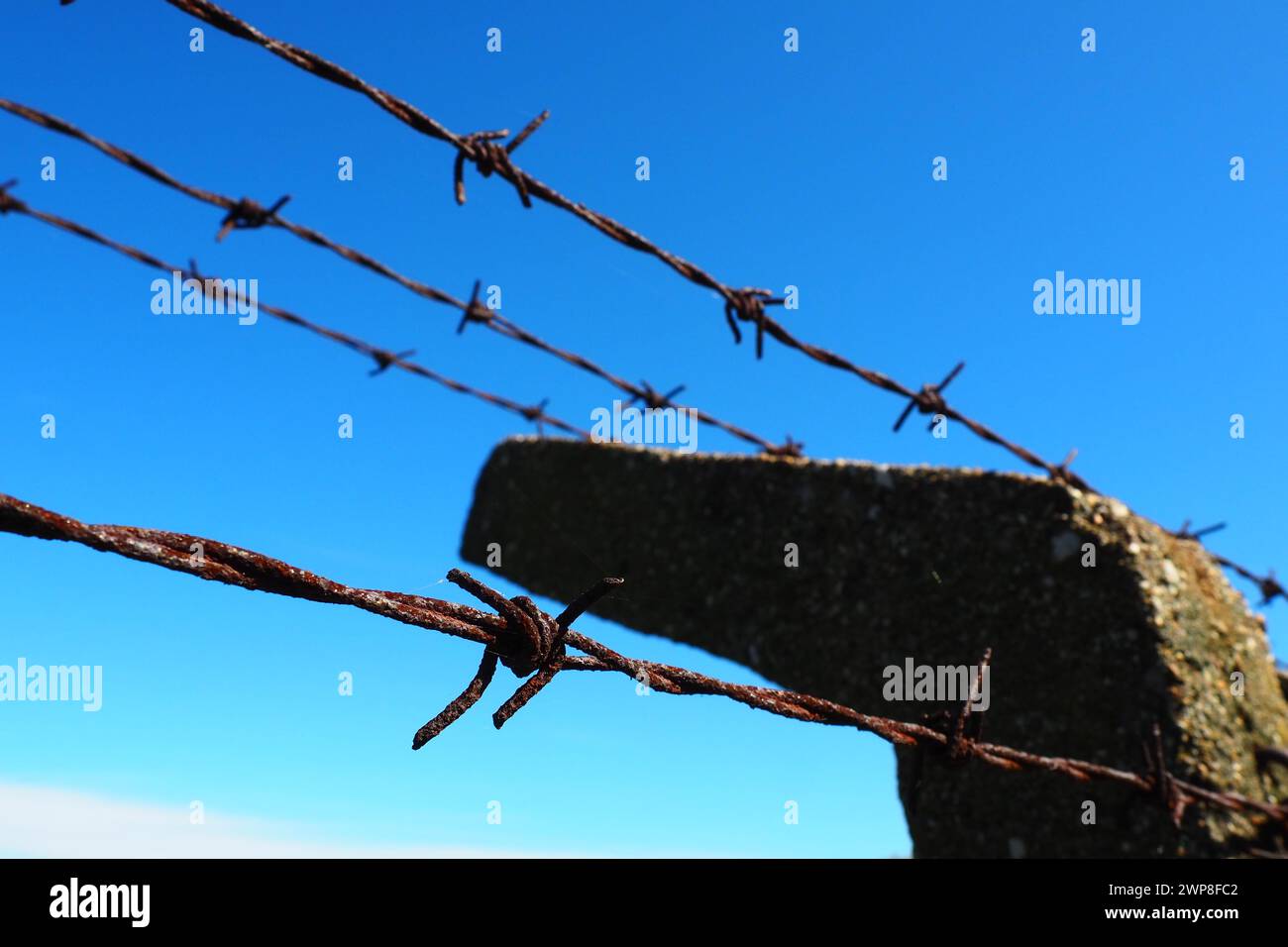 Barbed wire, double wire, metal tape with sharp spikes for barriers ...