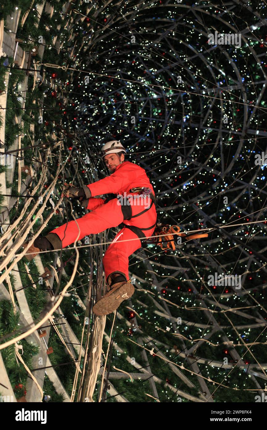 10/11/12 Photo taken looking up inside the giant tree, shows John Vasey ...