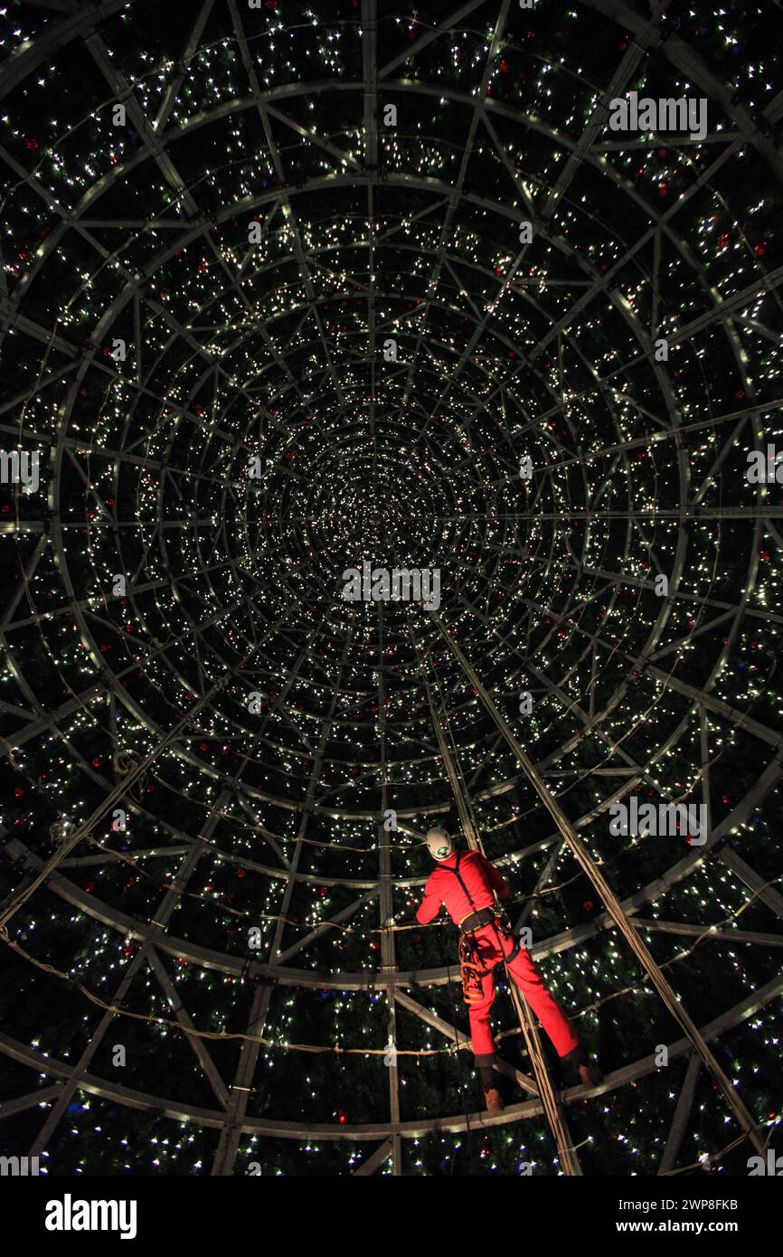 10/11/12 Photo taken looking up inside the giant tree, shows John Vasey ...