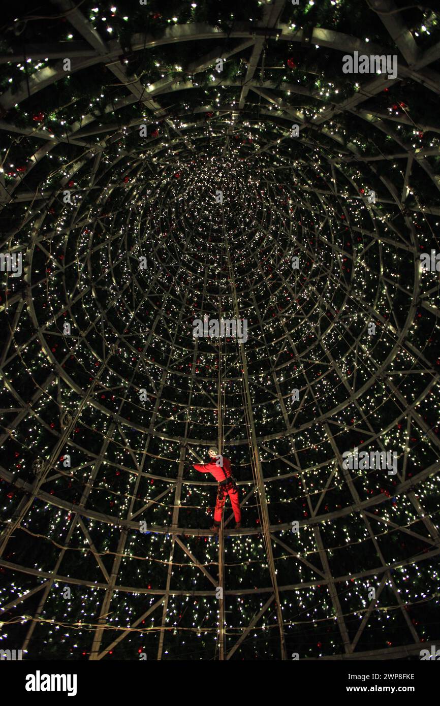 10/11/12 Photo taken looking up inside the giant tree, shows John Vasey ...