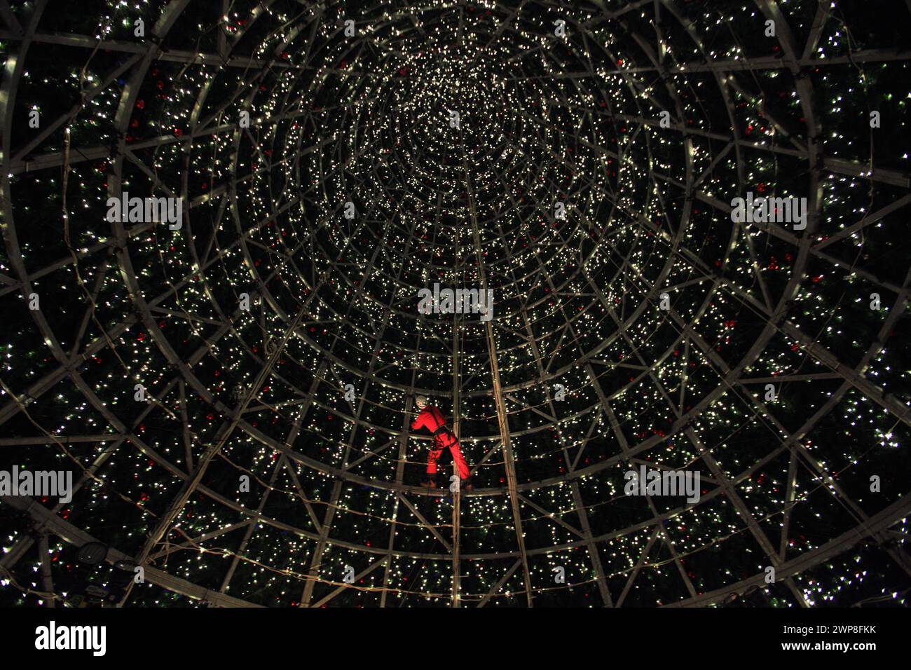 10/11/12 Photo taken looking up inside the giant tree, shows John Vasey ...