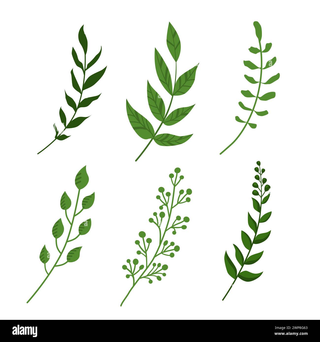 Spring isolated green sprigs of grass. Vector clipart with single ...
