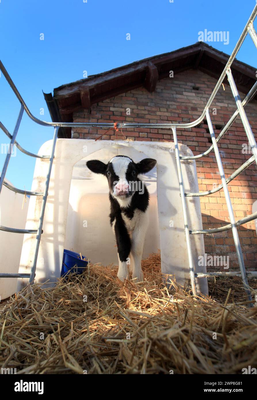 Norbury farm hi-res stock photography and images - Alamy