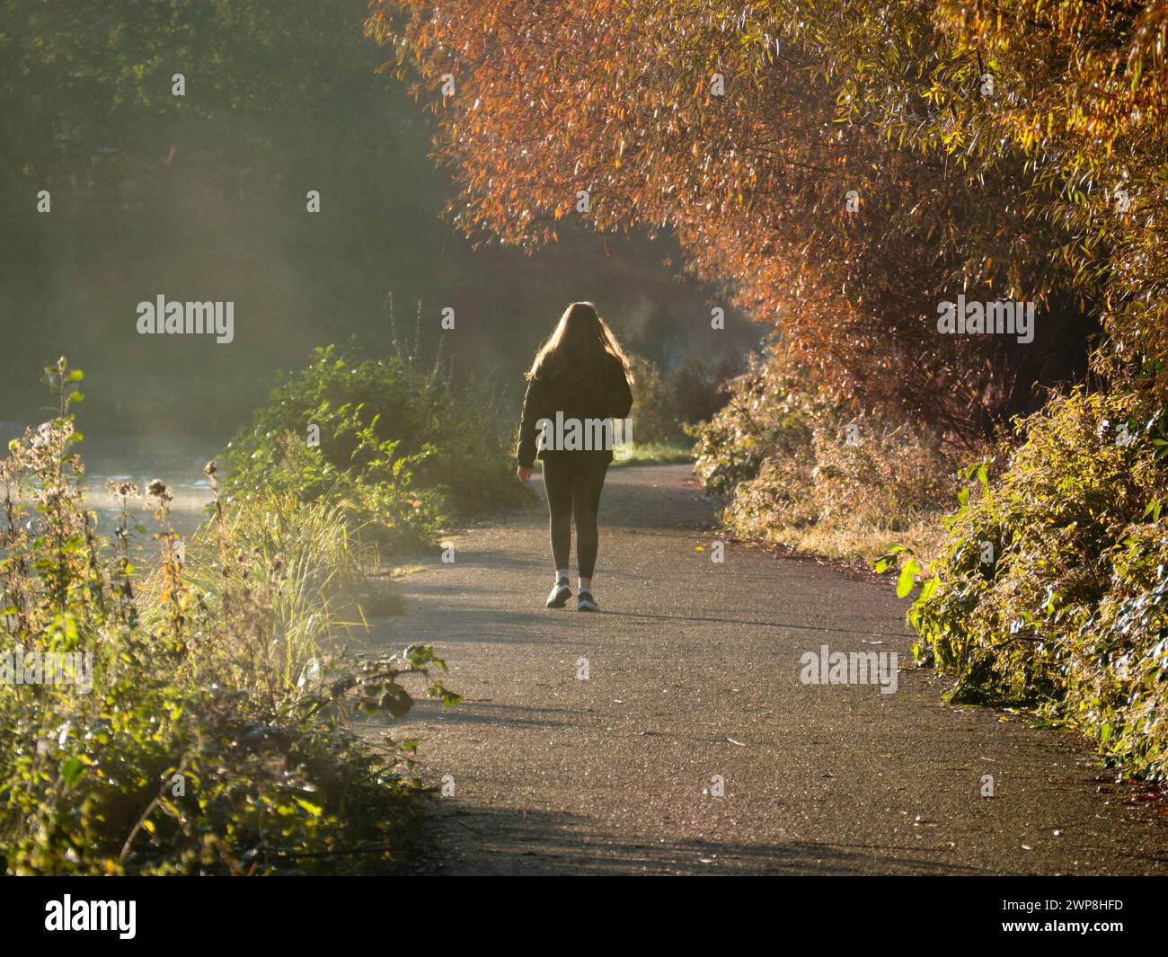 Woman walking on the Thames path amidst Autumn colours. This stretch of ...