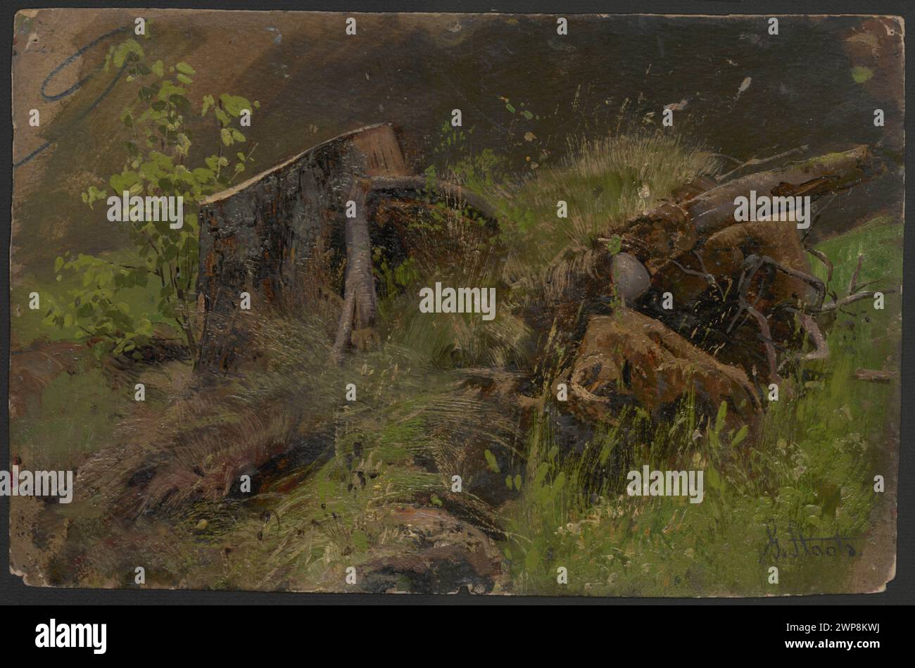 Stump; Staats, Gertrud (1859-1938); around 1880-1910 (1875-00-00-1885 ...