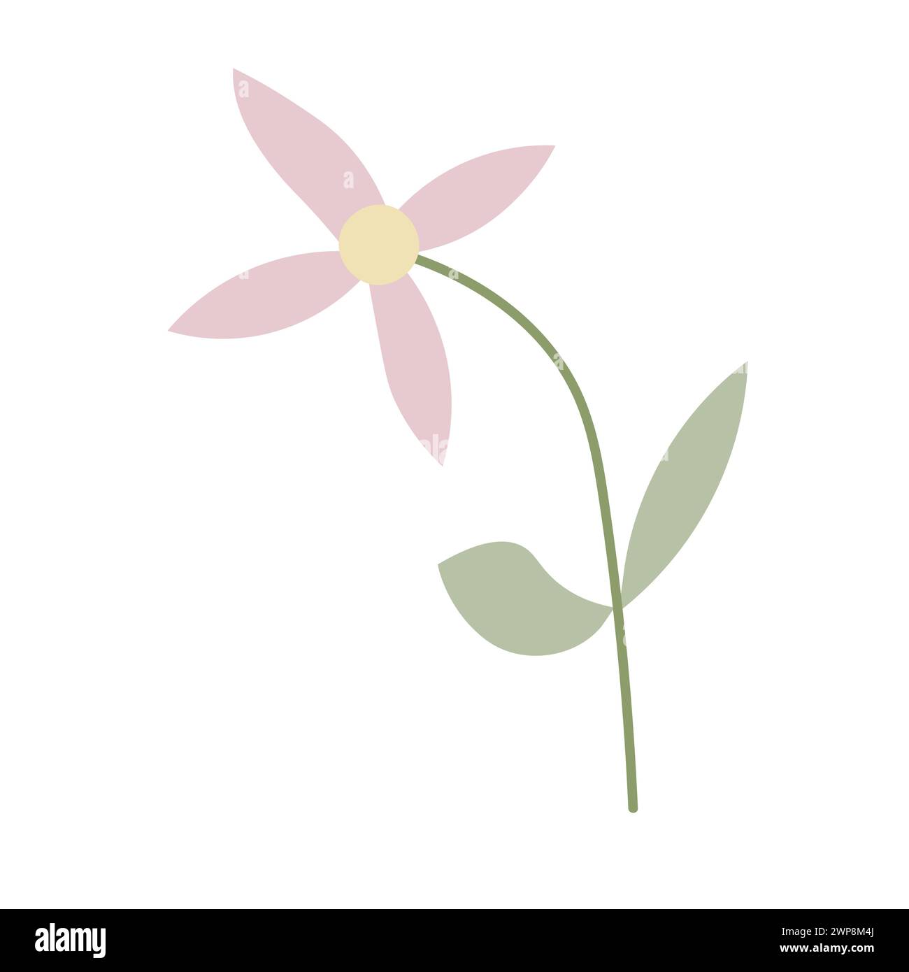 Single flower on white background Stock Vector Image & Art - Alamy