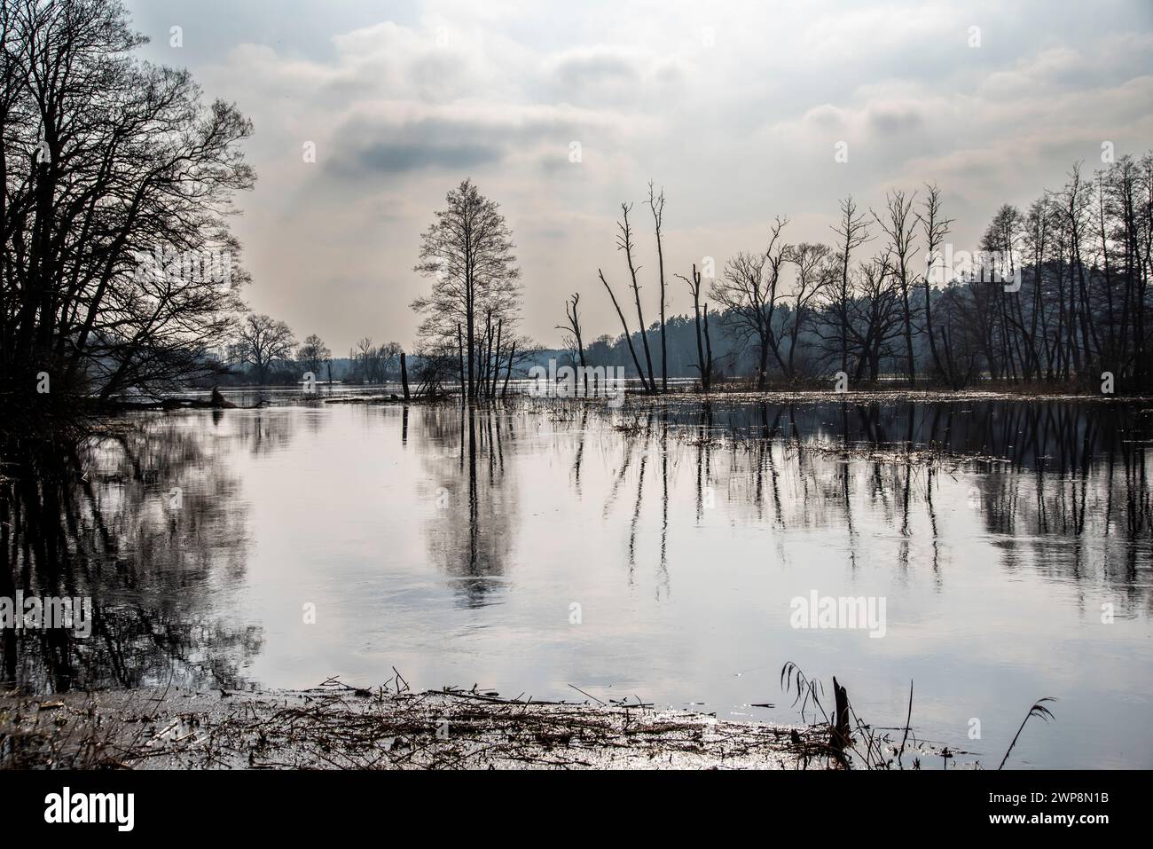 Flooded forests and fields, flooding in the natural landscape Stock ...