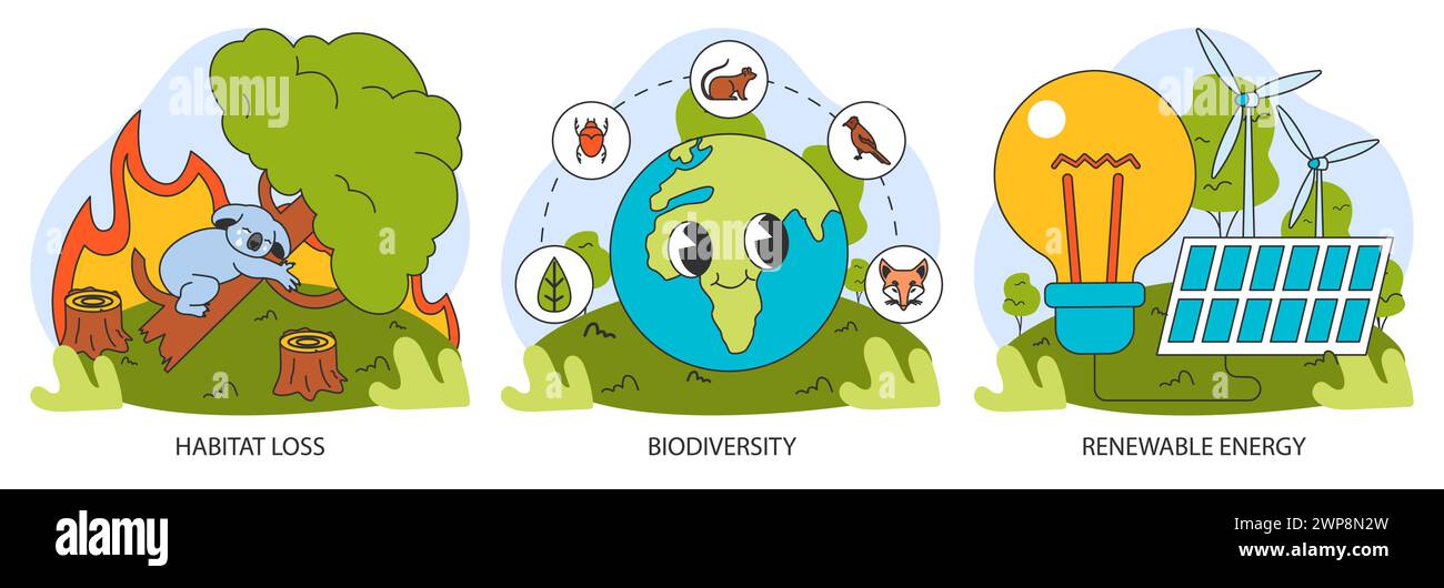 Ecology Research Set Human Influence Environmental Challenges