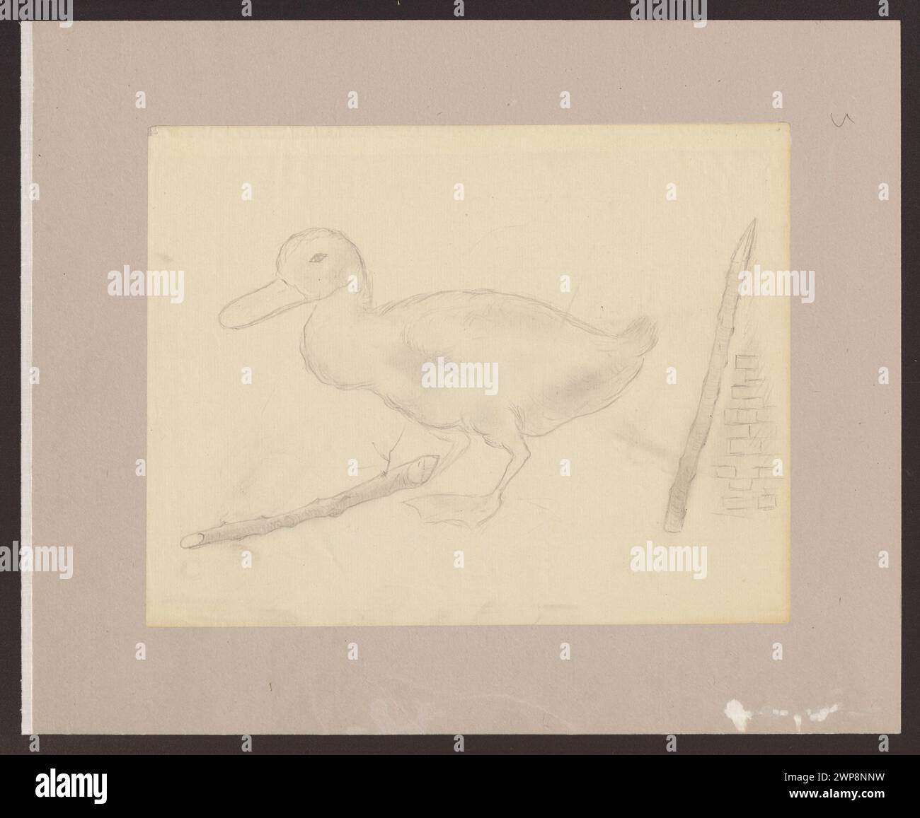 Duck; Makowski, Tadeusz (1882-1932); around 1932 (1928-00-00-1937-00-00 ...