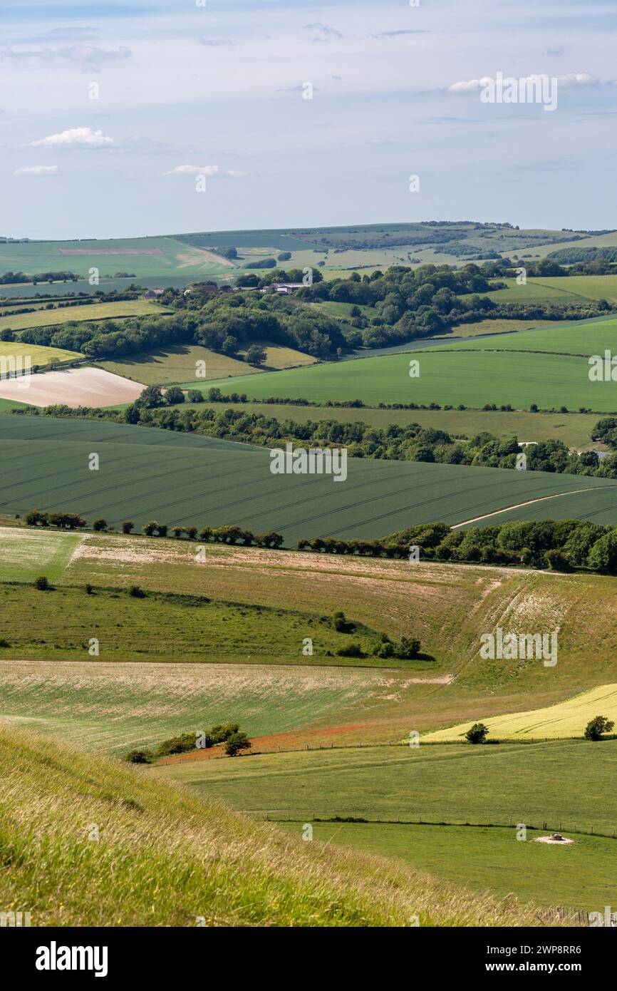 A view over the South Downs from Kingston Ridge, on a sunny early ...