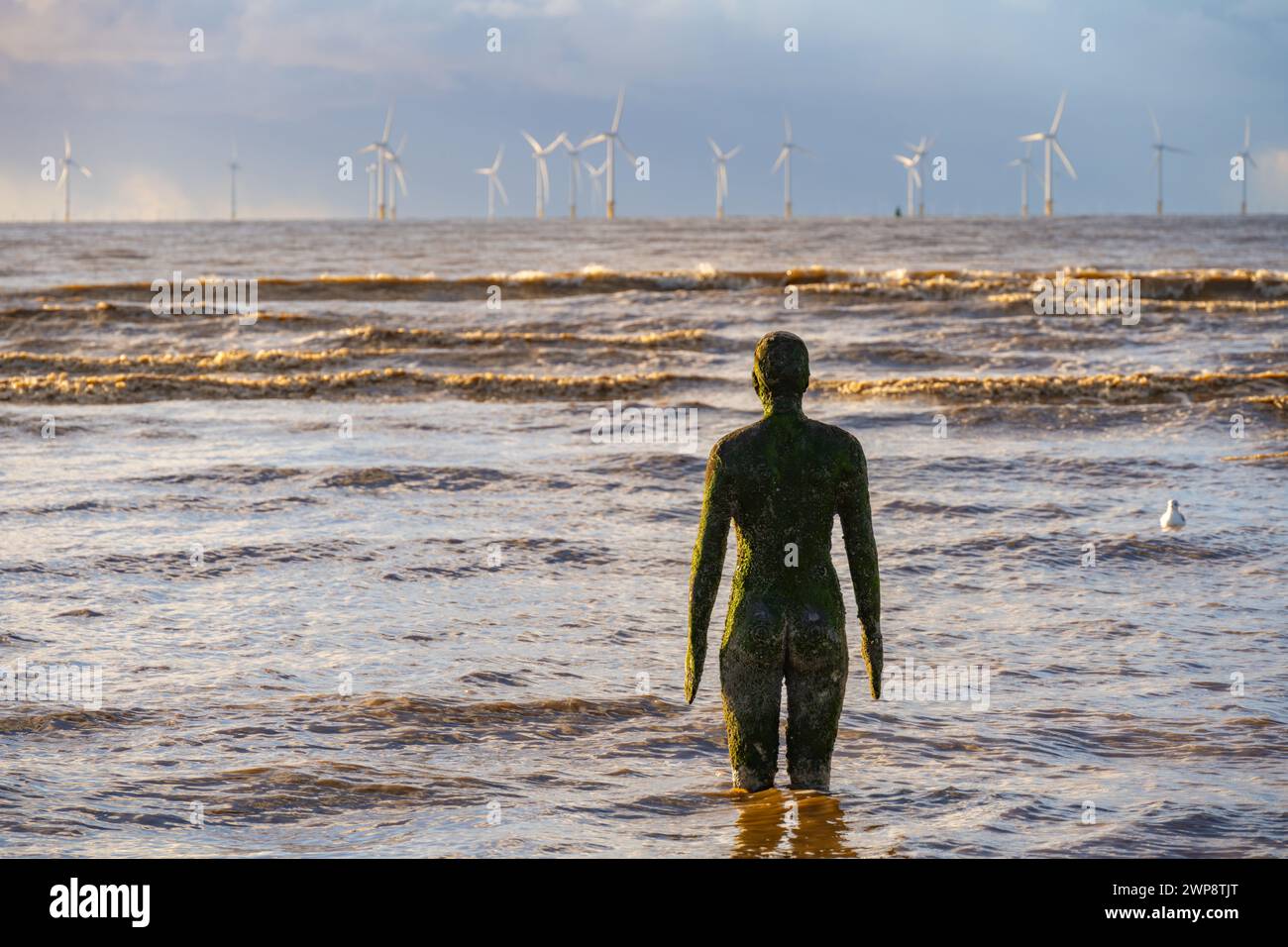 Statue from Another Place by Antony Gormley at Crosby Beach Merseyside ...