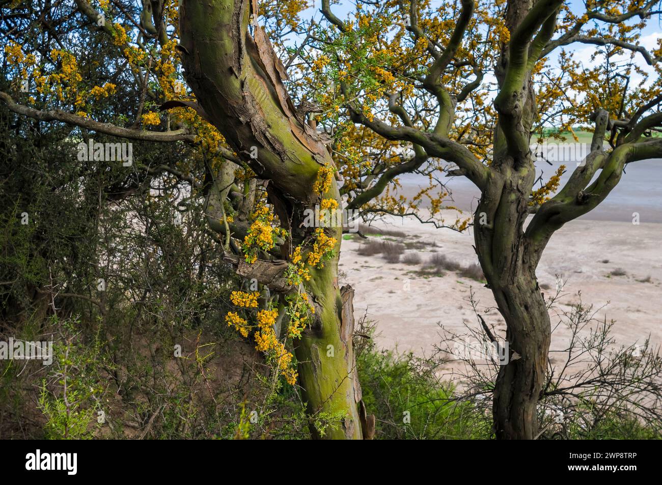 Chanares hi-res stock photography and images - Alamy