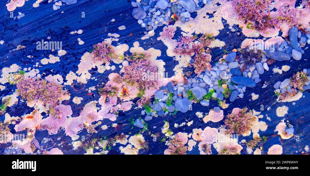 Nature Abstract Background Design Stock Photo - Alamy