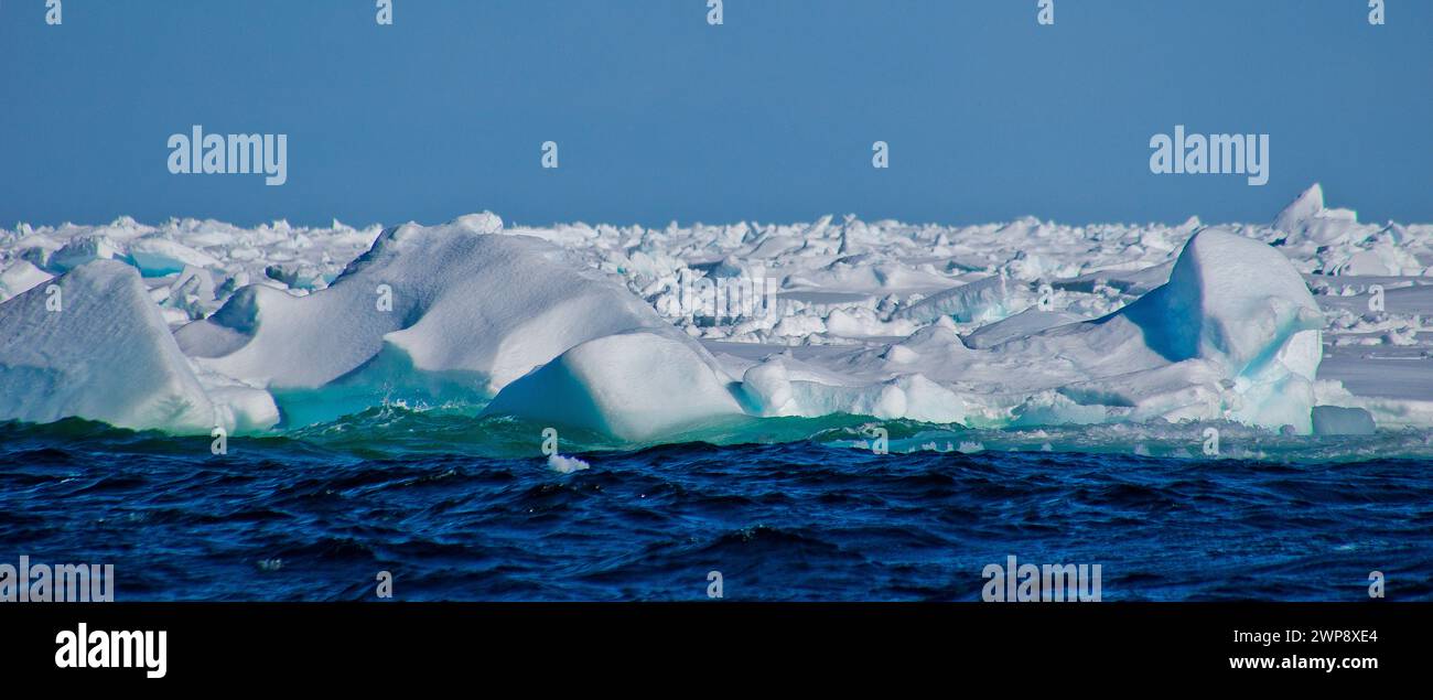 Ice edge ecosystem hi-res stock photography and images - Alamy