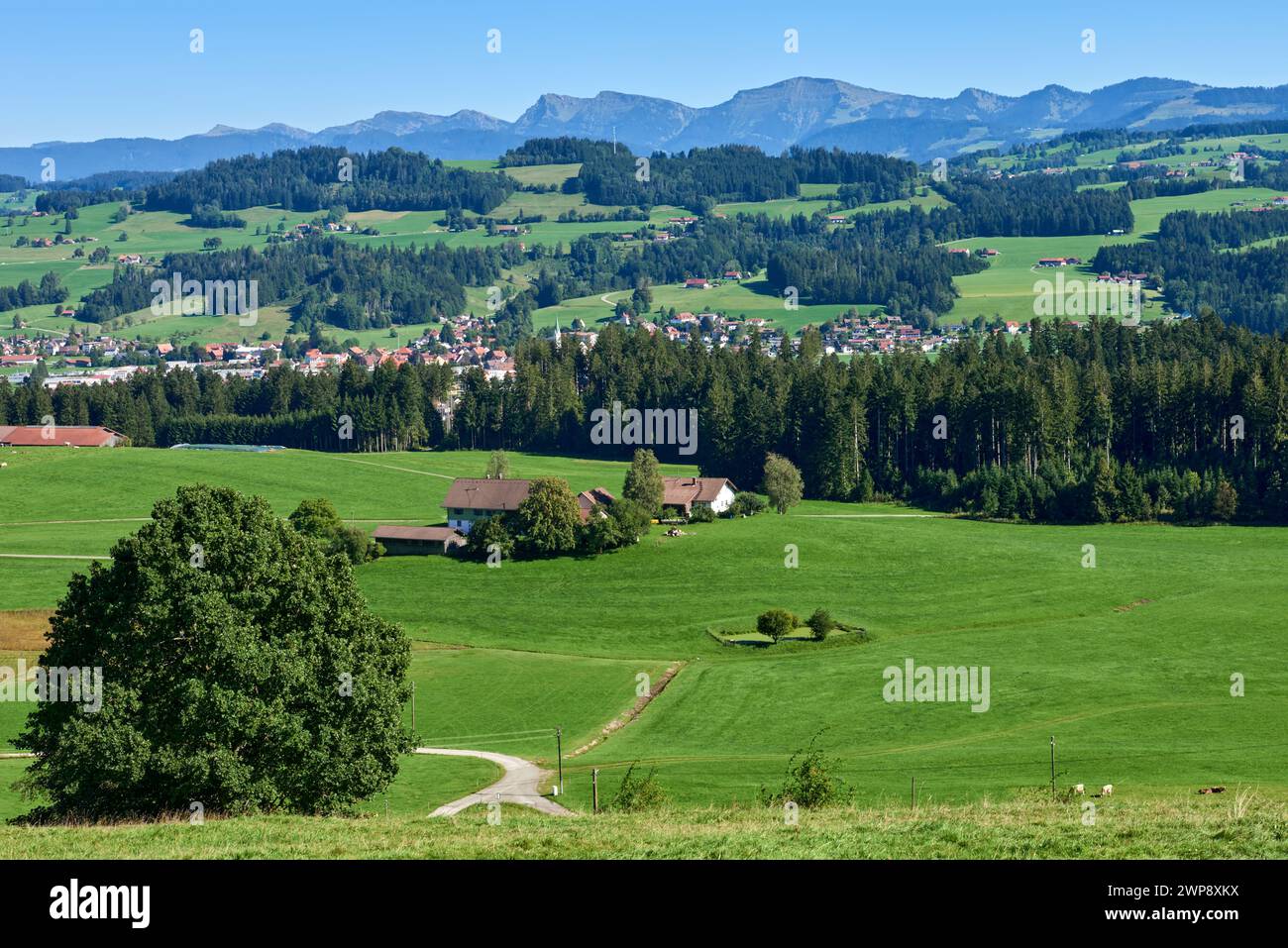 Alpine Foothills Charm: Rural Mountainside Living with Farmer's ...