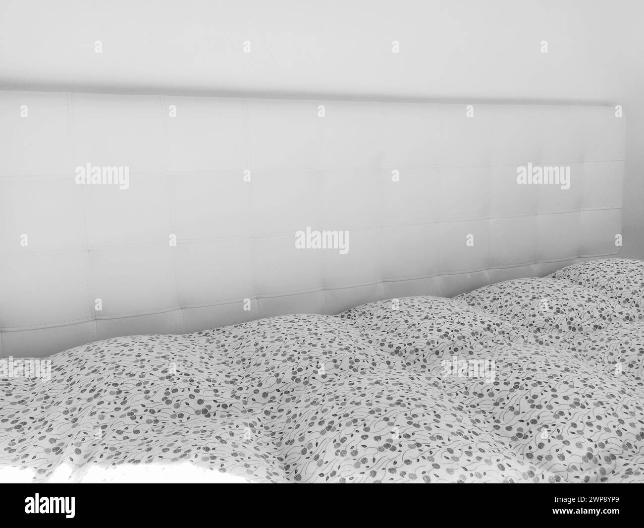 Modern retro room interior leather Black and White Stock Photos ...