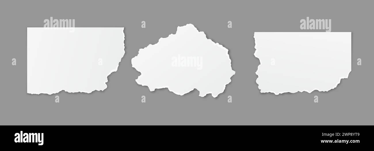 Pieces of blank torn paper realistic vector illustration set. Shreds ...