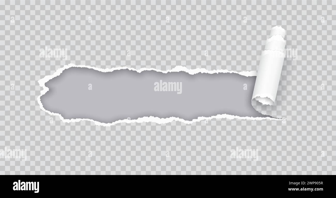 Torn paper rolled strip over grey realistic vector illustration. Teared page. Destroyed document ...