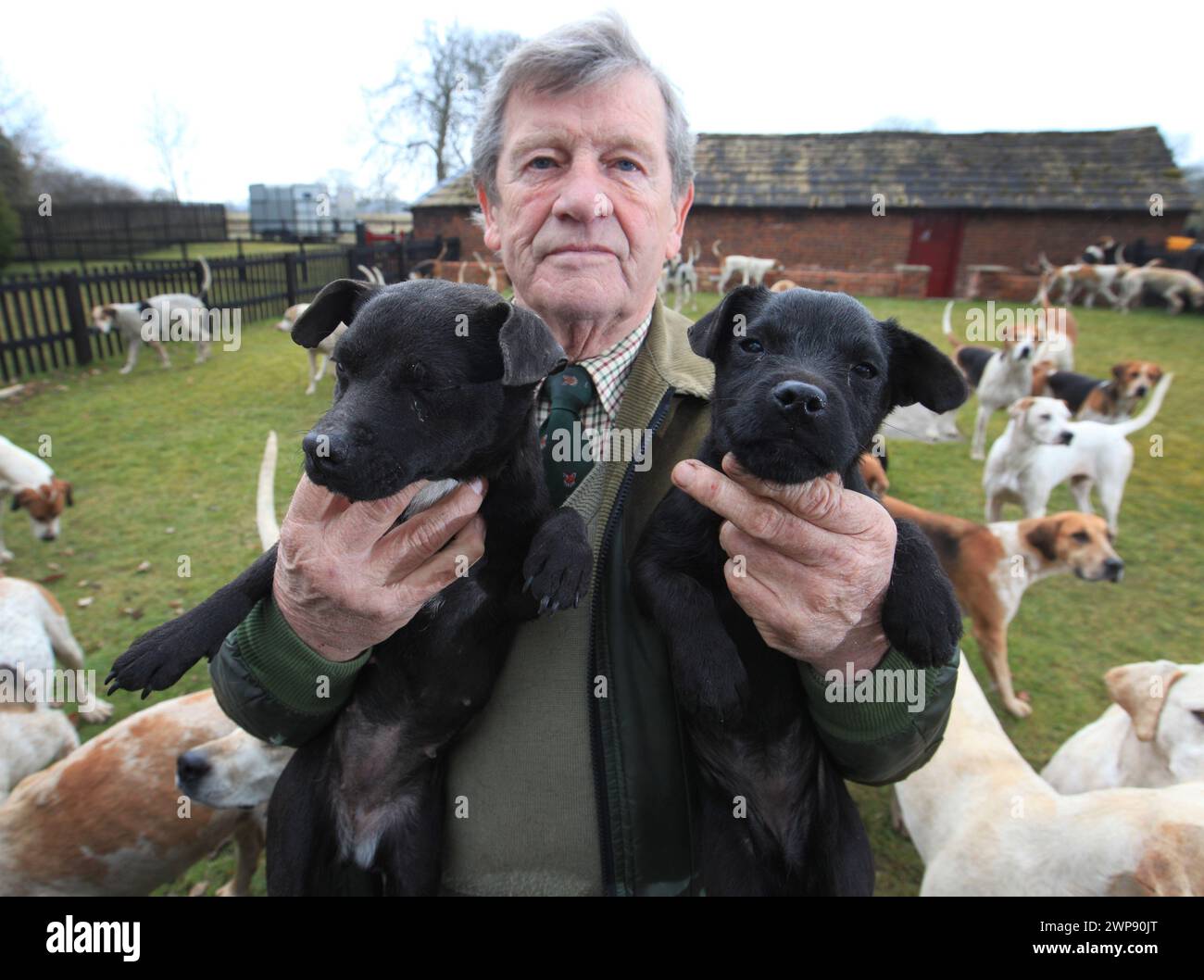 12/04/13 Brian Nuttall, famous breeder and worker of Patterdale ...