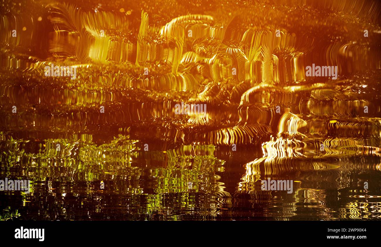 Reflection of vegetation in jungle on wavy water on river surface ...