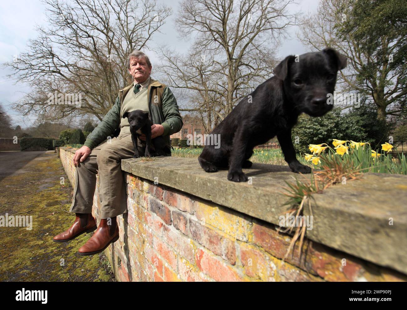 12/04/13 Brian Nuttall, famous breeder and worker of Patterdale ...