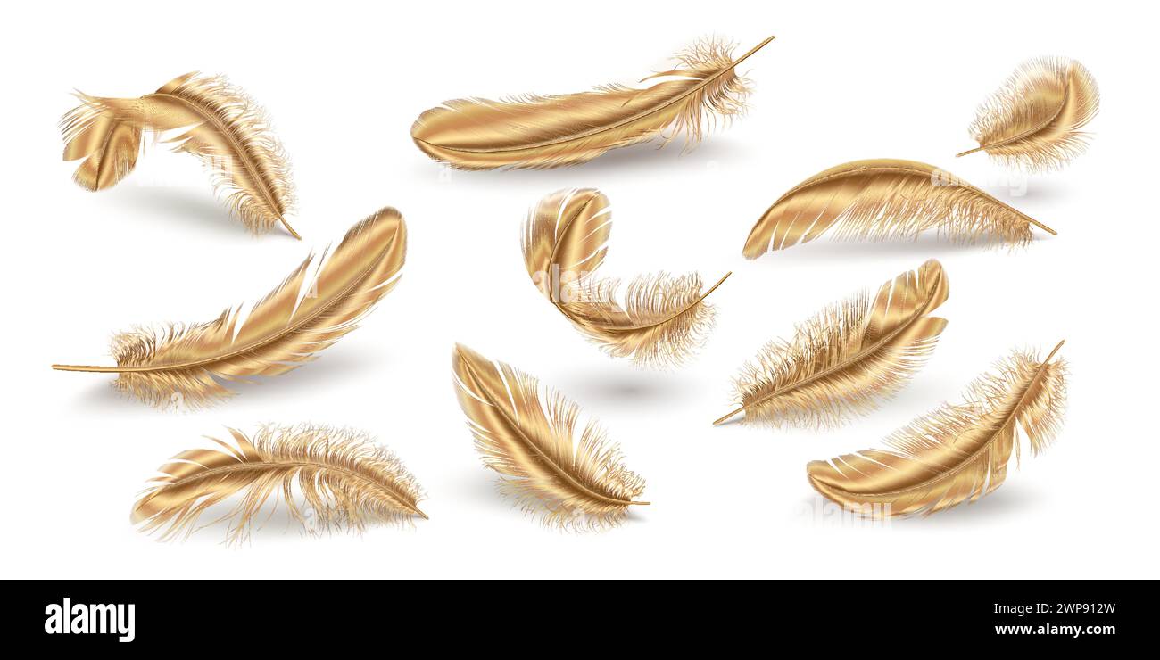 Golden scattered feathers realistic vector illustration set. Shiny ...
