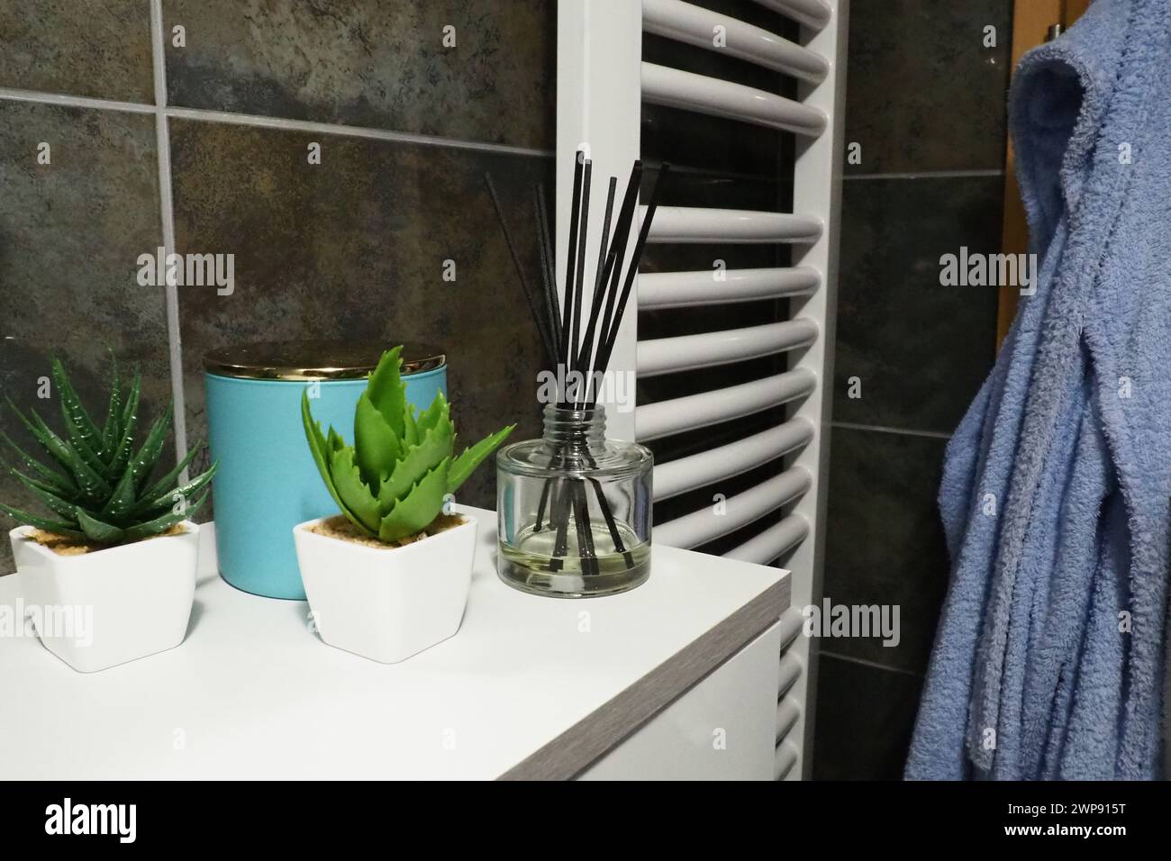 Bathroom decor elements. A blue jar of cream and green plants in small ...