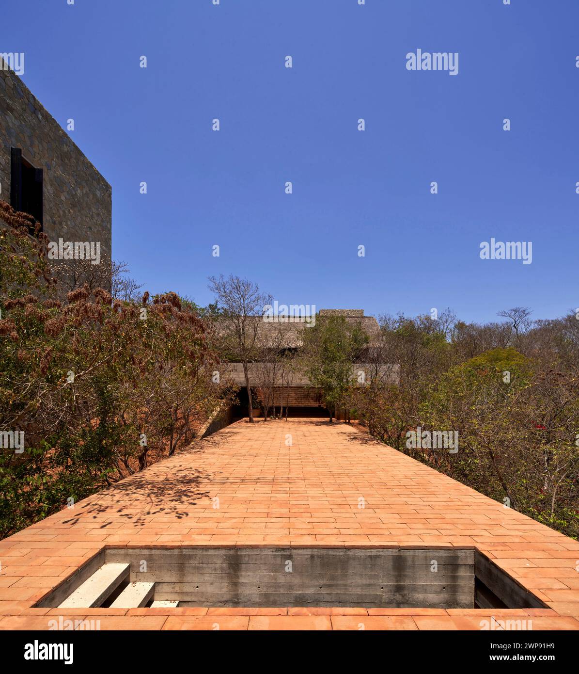 Guest wing. Casa Cometa, Mazunte, Mexico. Architect: Mauricio Rocha with Gabriela Carrillo, 2022 ...