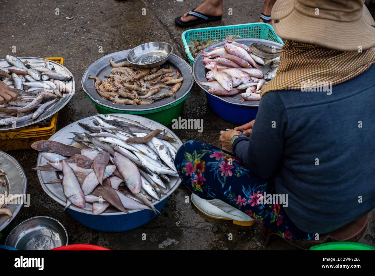 The fish market at the harbor of Hoi An in Vietnam Stock Photo - Alamy