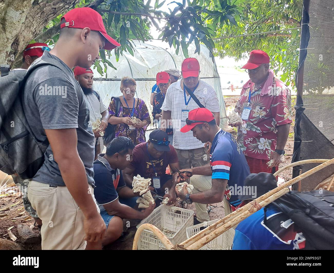 Fiji suva china hi-res stock photography and images - Alamy