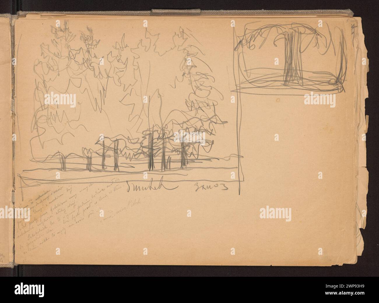 Two sketches: jode; Pie trees; Ruszczyc, Ferdynand (1870-1936); 1903 ...