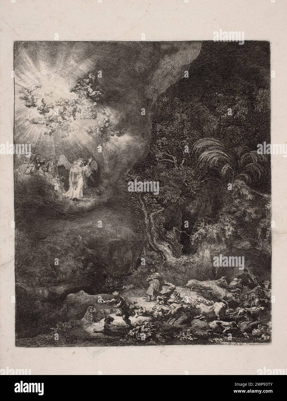 rehdigerana-collection-hi-res-stock-photography-and-images-alamy